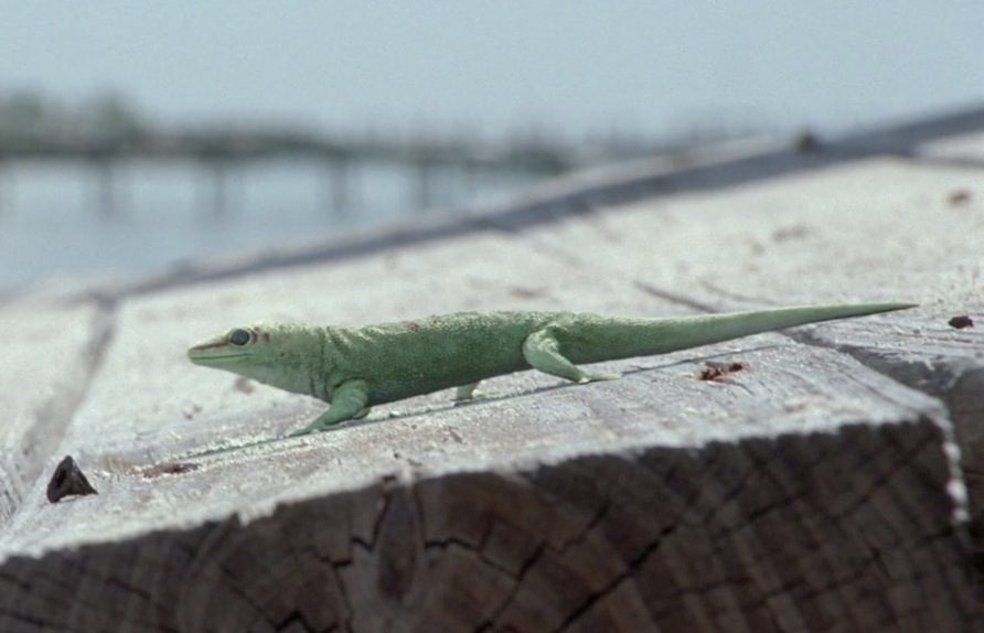 shade vfx october reel