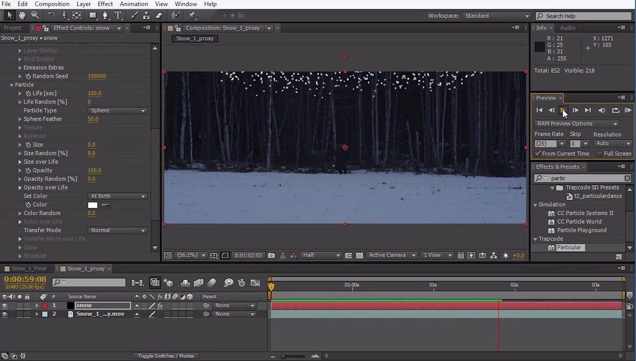 Creating Realistic Snow