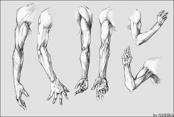Arm Drawing Reference