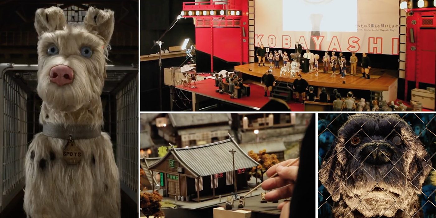 What Happened To Spots In Isle Of Dogs