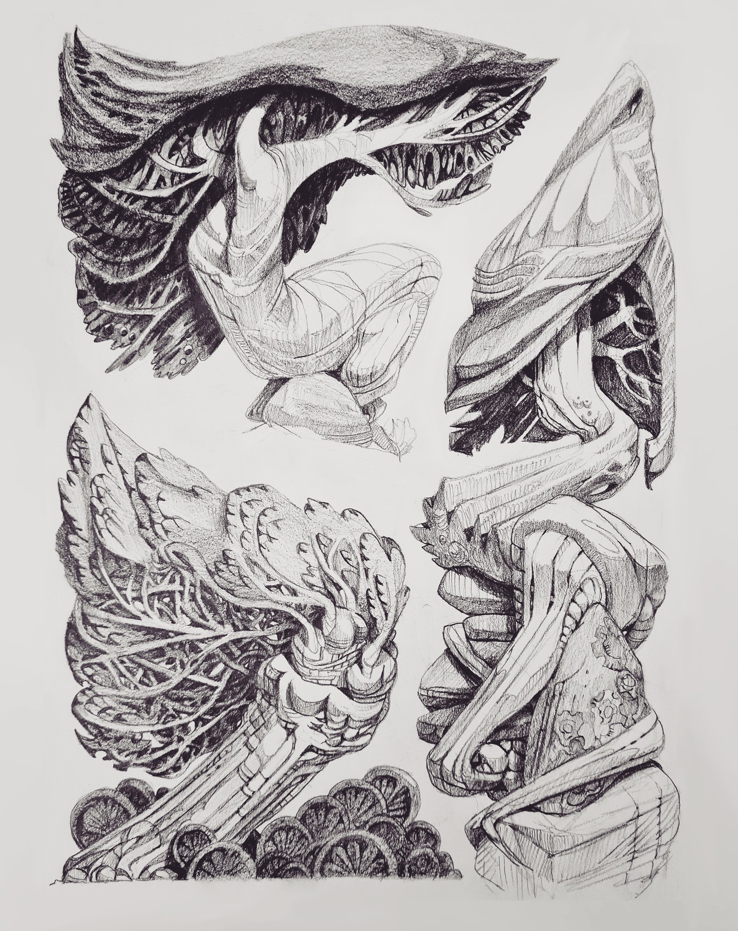 nicolas.weis-20230727_161649-2608619611