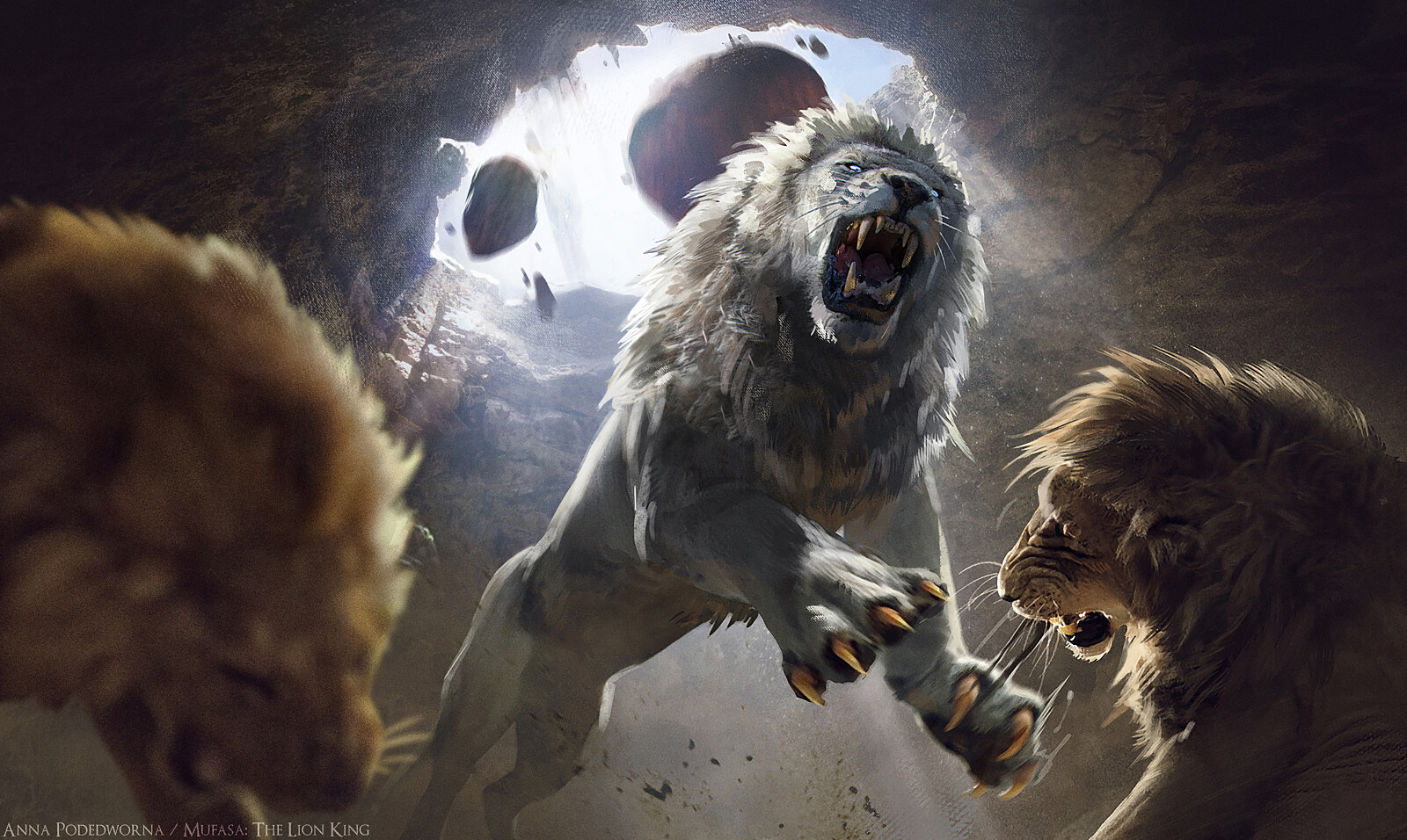 anna-podedworna-milele5